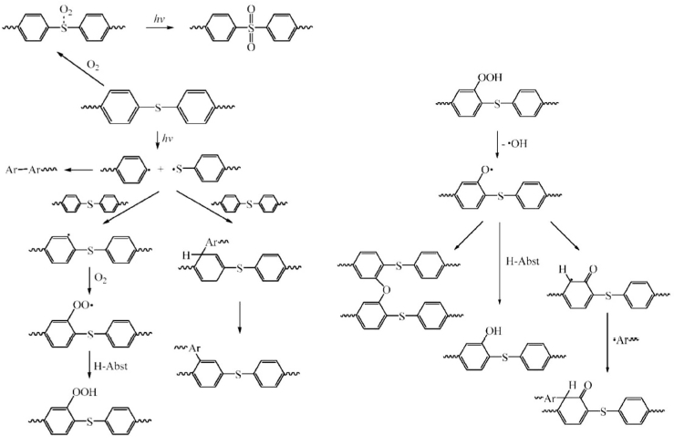Scheme 2. Crosslinking and various functional group formation mechanism ...