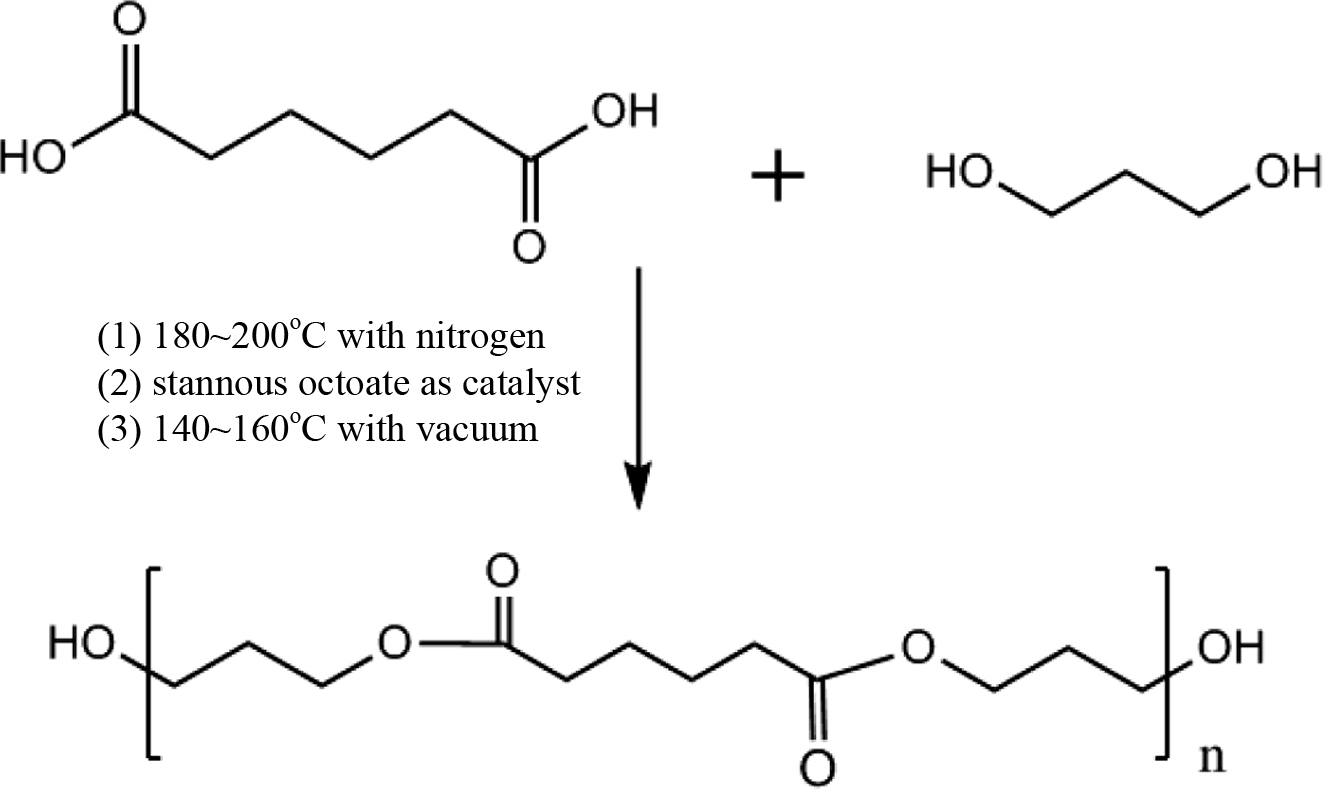 Scheme 2. Mechanisms for polymerization of PE 2.